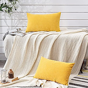 Lumbar Support Pillow Decorative Rectangle Throw Pillow Covers 12x20" Inch Set of 2,Super soft Chenille Fall Pillowcase for Living Room Bedroom Sofa Couch Cushion Cover Gold Yellow 30x50cm (No Insert)
