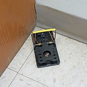 iTrap Easy Set Snap Rat & Mouse Traps w/ Bait Cups, 8 Pack - Simple Deadly Pest Control