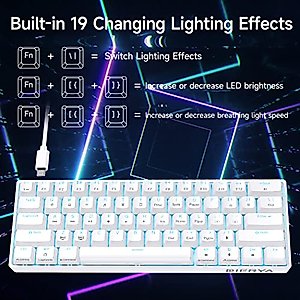 DIERYA DK61SE 60% Mechanical Gaming Keyboard, 61 Keys Anti-Ghosting, LED Backlight, Detachable USB-C, Ultra-Compact Mini Wired Keyboard with Red Linear Switch for Windows Laptop PC Gamer Typist