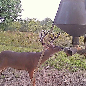 Backwoods Premium Wildlife Products Magic Meal Apple Attractant - 5.5 lb. Bag