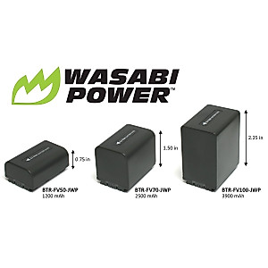 Wasabi Power Battery (2-Pack) and Charger for Sony NP-FV100 and Sony DCR-SR15, SR21, SR68, SR88, SX15, SX21, SX44, SX45, SX63, SX65, SX83, SX85, FDR-AX100, HDR-CX105, CX110, CX115, CX130, CX150, CX155, CX160, CX190, CX200, CX210, CX220, CX230, CX260V, CX2