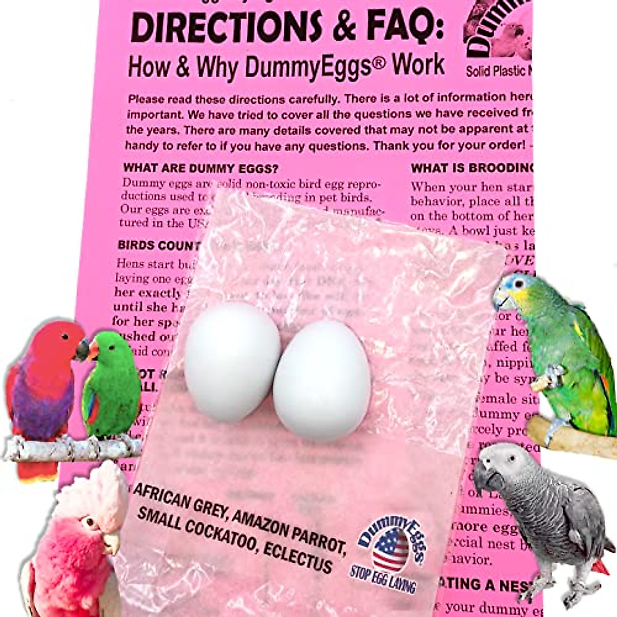 DummyEggs 2 Medium Parrot Dummy Eggs to Control Laying! 1.5" x 1" (3.7 x 3cm) Non-Toxic Solid Plastic Fake Bird Eggs African Grey, Eclectus, Azn, Small Cockatoo or Macaw. Ship Fast USA
