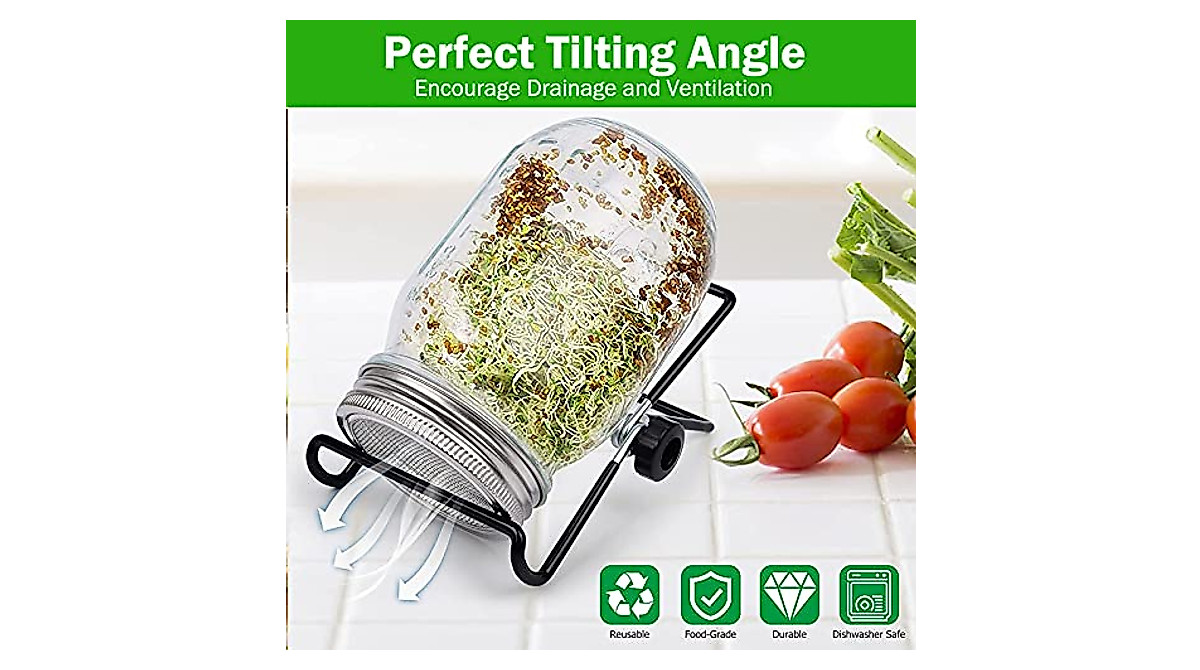 Home Seed Sprouting Kit | Grow Fresh Broccoli, Alfalfa & More