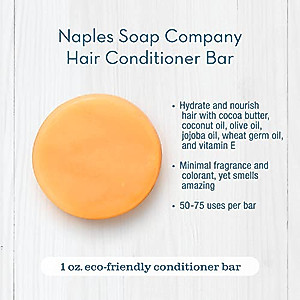 Naples Soap Company, Protein Enriched, 50-75 Use, Solid Hair Conditioner Bar, Eco-Friendly Haircare, Helps Ensure Vibrant, Healthy Hair, All Hair Types, Florida Fresh, 1 oz