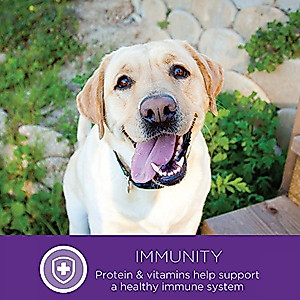 Wellness Complete Health Large Breed Dry Dog Puppy Food with Grains, Natural Ingredients, Made in USA with Real Meat (Puppy, Chicken, Salmon & Rice, 30-Pound Bag)