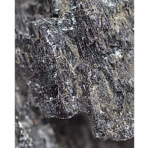 EISCO Hornblende (Amphibole Mineral) Specimen, Approx. 1" (3cm)