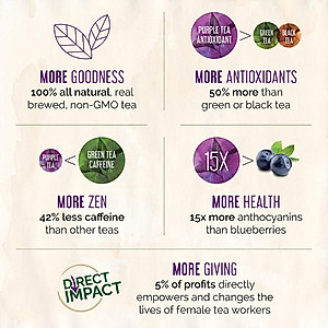 Purpose Tea - Bottled Iced Tea, All Natural Brewed Organic Purple Leaves, Unsweetened, Pure, Non-GMO, High in Antioxidants and Anthocyanins, Healthy Drinks - 16 oz (Variety Pack, 12 Pack)