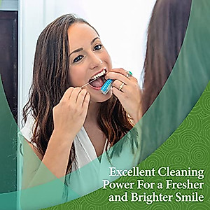 Dental Lace Woven Dental Floss, 100% Silk Floss with Natural Mint Flavor - 2 Floss Refills with Recyclable Packaging, 66 Yards