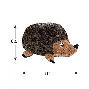 Outward Hound, Hedgehogz Plush Dog Toy, Large