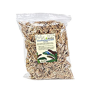Josh's Frogs Bioactive Dart Frog Substrate Vivarium Bundle- Small