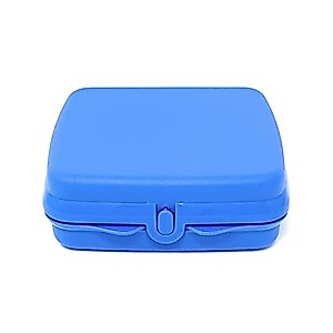 Tupperware Sandwich Keeper in Vivid Blue