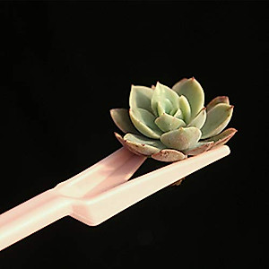 KALIM 16Pcs Succulent Plant Tools, Mini Planting/Transplanting Gardening Tool Set for Indoor Miniature Garden Plant Care(Pink)
