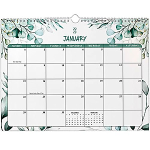 COOLENDAR 2023 Wall Calendar, Monthly Calendar 24 Months from January 2023 to December 2024, Hanging Calendar 2023 for Wall, Monthly Planner 2023-2024, 2023 Desk Calendar with Large Occasions (GRN1)