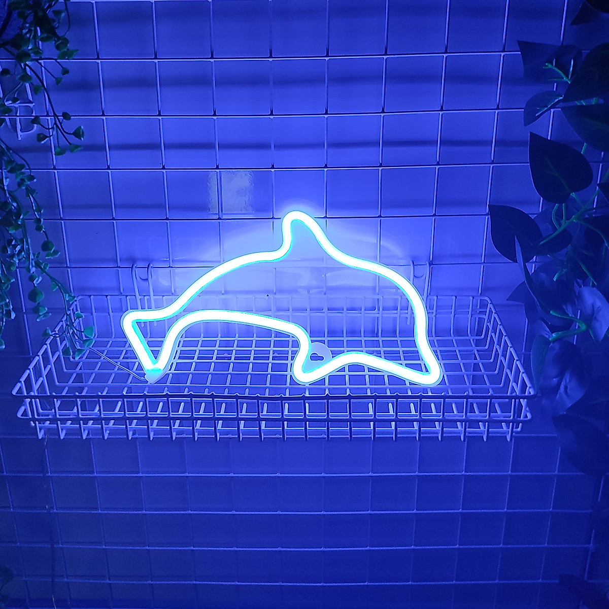 JYWJ Dolphin Neon Sign,USB or 3-AA Battery Powered Neon Light,LED Table Decoration,Bedroom Wall Decoration,Birthday Gift,Wedding Supplies Business Gift (Blue)
