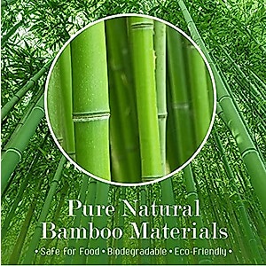 6 inch(200 Pack) Bamboo Wooden Paddle Picks Skewers for Cocktail，Appetizers，Fruit Kabobs，Sandwich，Barbeque Snacks…