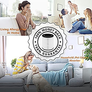 Ulrempart Replacement Filter Compatible with Homedics Air Purifier Model AP-T20, AP-T20WT Part# AP-T20FL