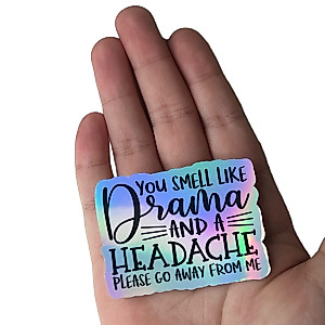12 pc Funny Quote Stickers HOLOGRAPHIC WATERPROOF VINYL, Birthday Gift, Present, Laptop Sticker, Phone Sticker, Water Bottle Sticker, Window Sticker, Planner Stickers, Teen, Adult Humor