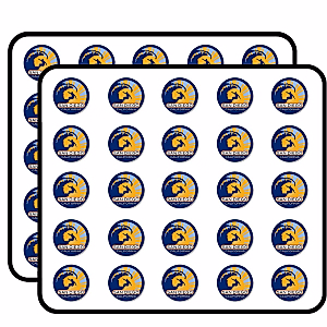 Round Surfer On Wave SAN Diego California - Surfing surf Beach Sticker for Scrapbooking, Calendars, Arts, Kids DIY Crafts, Album, Bullet Journals 50 Pack