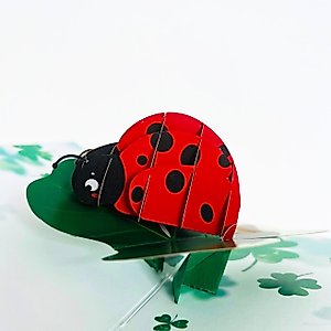 Paper Pop Up Cards 4.7x6.69 inch, ladybug with lucky plant, 3D Popup Greeting Cards with Note Cards and Envelopes, perfect for pop-up bursting birthday gift.