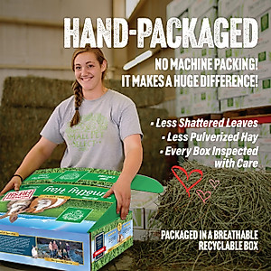 Small Pet Select 2nd Cutting Perfect Blend Timothy Hay Pet Food for Rabbits, Guinea Pigs, Chinchillas and Other Small Animals, Premium Natural Hay Grown in The US, 20 LB