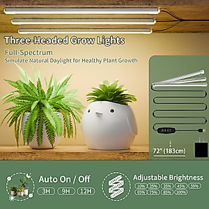 BACEKOLL Plant Stand Indoor with Grow Lights, 9 Tiered Metal Plant Shelf, 63" Tall Plant Stand for Indoor Plants Multiple, Large Plant Rack Display Shelves, Corner Plant Holder for Living Room, Patio