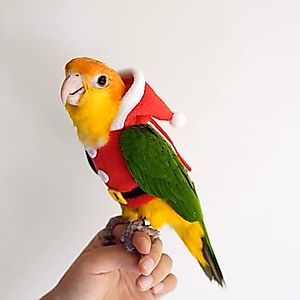 Bird Clothes Birds Flight Suit, Christmas Hoodie for Parrots Cockatiel Sun Conure Christmas Party Cosplay Photo Prop Bird Shirt Small Animals Apparel (Without Diaper,Green Quaker)
