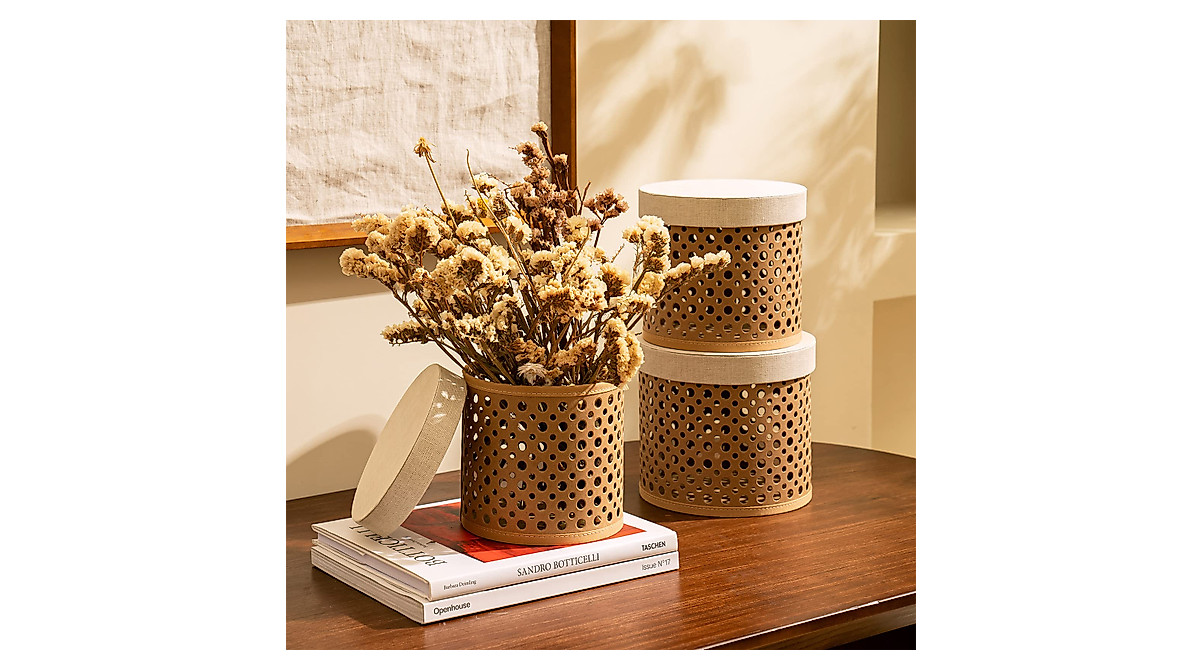 LA JOLIE MUSE Decorative Round Storage Boxes Set of 3, Polka Dot Cutout ...