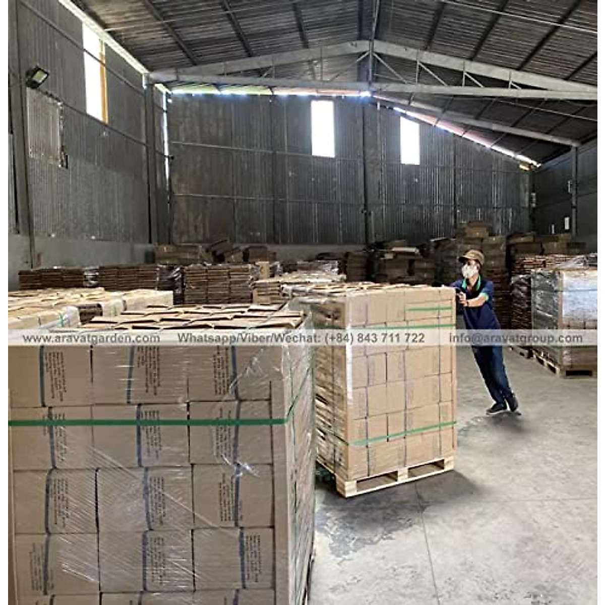 HOUSEBOOK 2 Packs Premium Wooden Rolling Flower Pot Holder Plant Stand with Wheel, Wooden Plant Pot Caddy 30cm Round Garden Plant Pot Trolley 360 Deg Movable, 30cm, Brown