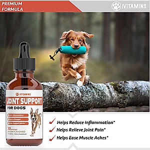 Joint Support Supplement for Dogs | Dog Hip and Joint Supplement | Supports Healthy Hips, Joints, & Much More | Dog Joint Supplement | Joint Supplement for Dogs | Joint Support for Dogs | 1 fl oz