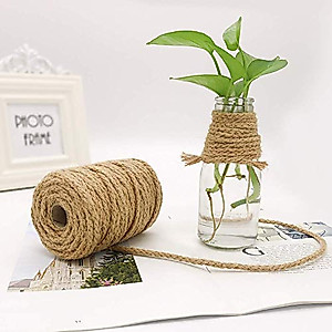Tenn Well 5mm Jute Twine, 100 Feet Braided Natural Jute Rope, Thick Twine Rope for Crafts, Gift Wrapping, Gardening, Cat Tower Repairing, Macrame Jute Cord