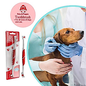 Pet Toothbrush for Dogs, Cats with Soft Bristles - Easy Teeth Cleaning & Dental Care, Non Slip Dual Head Dog Toothbrush - Choose Your Pack (Pack of 1)