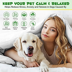 ALIVO Calming Diffuser for Dogs, Dog Calming Plug Diffuser - Dog Calming Pheromone Starter Kit Helps Ruduce Anxious, Anti-Stress & Comforts Dogs, Pet Supplies Relaxants & Anxiety Relief - 48ml