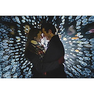 Lensbaby Composer Pro II with Sweet 35 Optic for Sony A