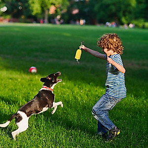 Dog Toothbrush Dog Chew Toys for Aggressive Chewers Large Breed Medium Breed,Dog Dental Care Teeth Cleaning Chew Toys