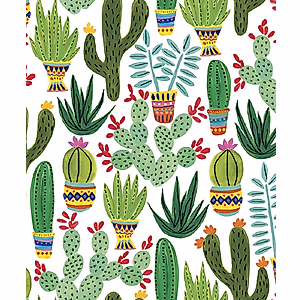 Party Explosions Gift Wrap - Sedona Desert Cactus Wrapping Paper Flat Sheet (24" W x 6' L)
