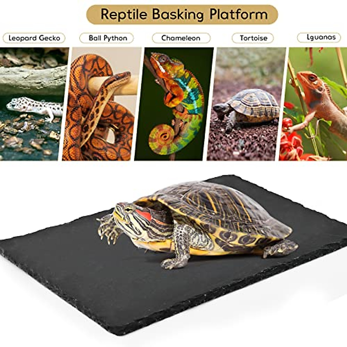 LAVEMCH 4 Pack Slate Cheese Boards, 12” x 8” Charcuterie Boards Sussi Plate Stone Tray with 4 Pieces Soapstone Chalks for Cheese, Meats, Appetizers, Dried Fruits, Gourmet, Black