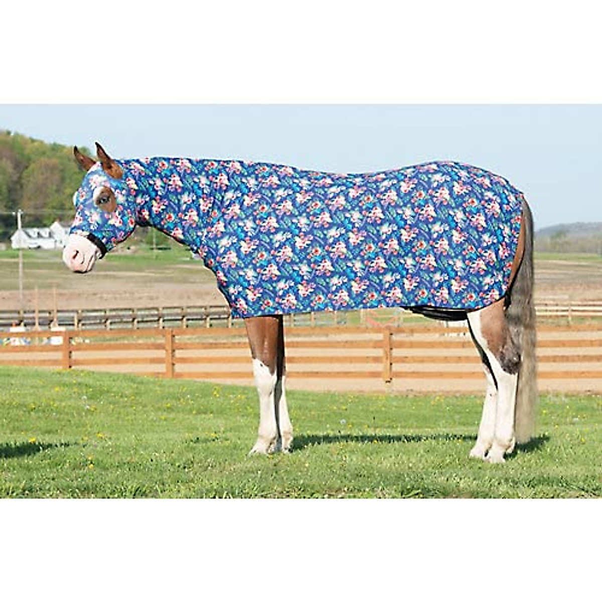 Weaver Leather Medium Equiskinz Lycra Horse Sheet Floral Medium