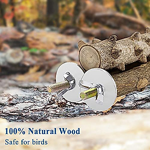 Mogoko Natural Wood Bird Perch Stand, Hanging Multi Branch Perch for Parrots, Parakeets Cockatiels, Conures, Macaws, Love Birds, Finches (Style 4)