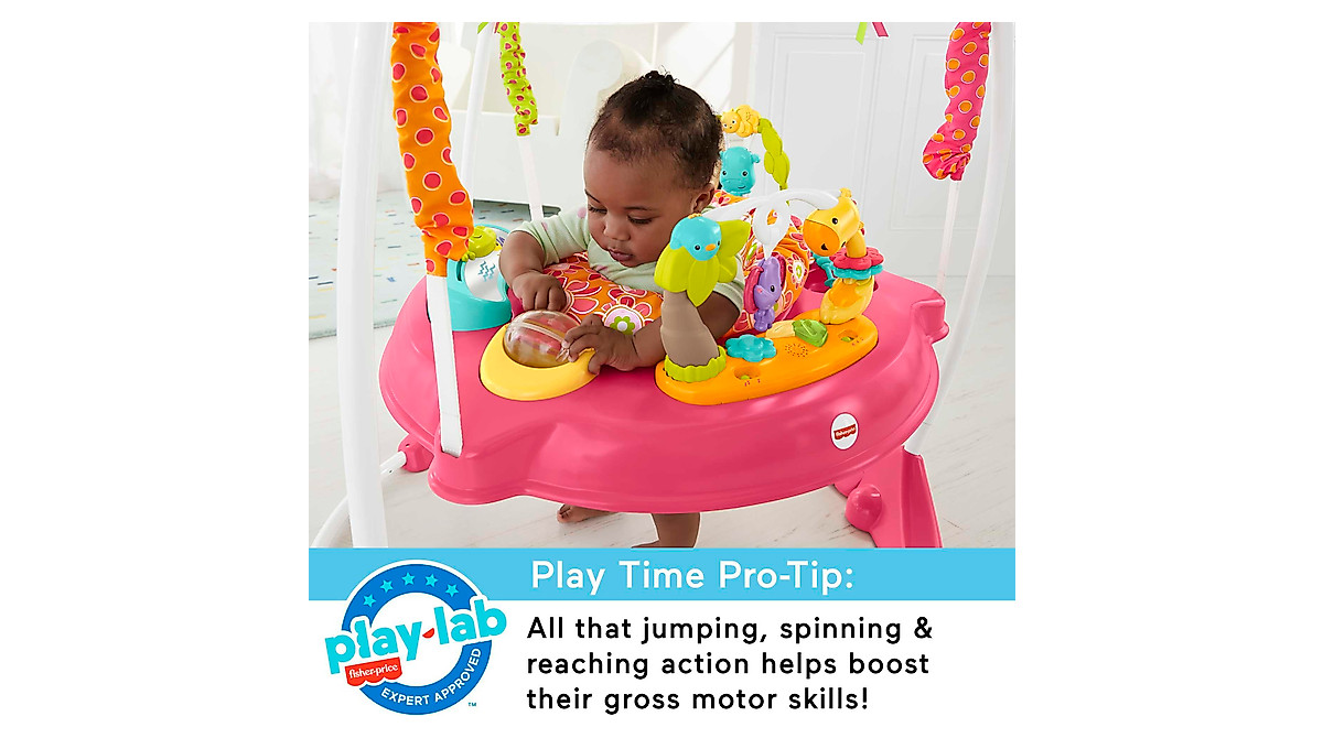 Fisher-Price Pink Petals Jumperoo for Baby Fun
