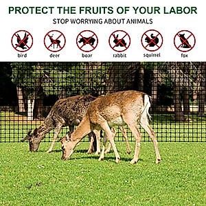 NestBasics Garden Bird Netting Garden Fencing Netting mesh 101 ft x 7 ft Durable Bird Netting Fencing Barrier for Plastic Protection net mesh for Fruit Vegetable Flower Garden