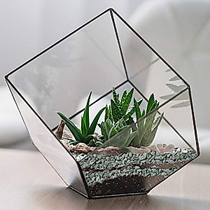 5.7lb Natural Decorative Gravel- Washed Green Zeolite,Irregular Shaped River Rock Stones, Succulents and Cactus Bonsai Additive Rocks,for Bonsai,Vases Fillers,Terrarium, Fairy Gardening, DIY Projects