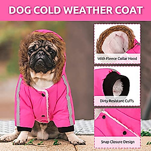 Queenmore Warm Dog Winter Coat, Cold Weather Waterproof Dog Snow Jacket, Reflective Dog Hoodie with Long Sleeves for Small Medium and Large Dogs