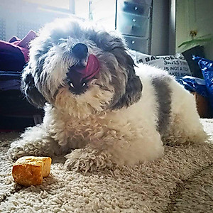 Yeti Refill Nuggets for Puff and Play Dog Toys - Natural Himalayan Yak Cheese Treats, Promotes Dental Health, Suitable for All Dogs, Ideal for Interactive Chew Toys and Dispensers, 30 Pieces, 14 Oz