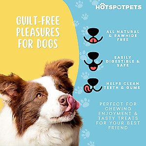 hotspot pets Bully Stick Rings for Dogs (10 Pack) - Premium All Natural Long Twisted Beef Pizzle Dog Chew Treats - Grain Free Fully Digestible Rawhide Alternative Thick Chew Circles