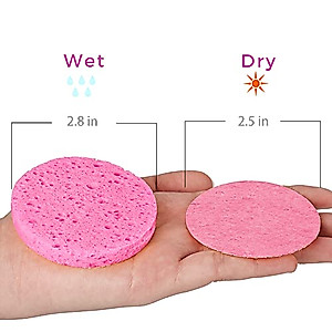 GAINWELL 50-Count Compressed Facial Sponges for Daily Facial Cleansing and Exfoliating, 100％ Natural Cosmetic Spa Sponges for Makeup Remover, Reusable, Pink