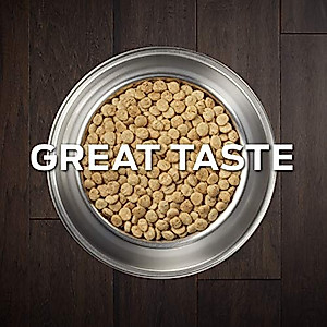 Purina Pro Plan Veterinary Diets HA Hydrolyzed Chicken Flavor Canine Formula Dry Dog Food - 6 lb. Bag