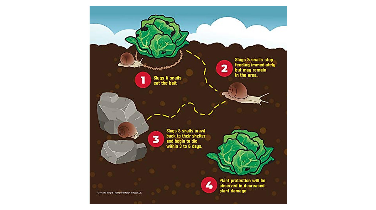 Corry's Slug & Snail Killer - Safe & Effective Solution