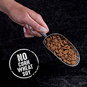 CRAVE Grain Free Adult High Protein Natural Dry Cat Food with Protein from Chicken, 10 lb. Bag