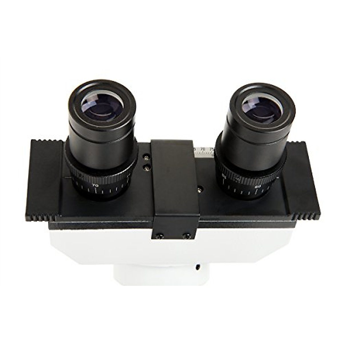 Celestron – Celestron Labs – Binocular Head Compound Microscope – 40-2000x Magnification – Adjustable Mechanical Stage – Includes 2 Eyepieces and 10 Prepared Slides