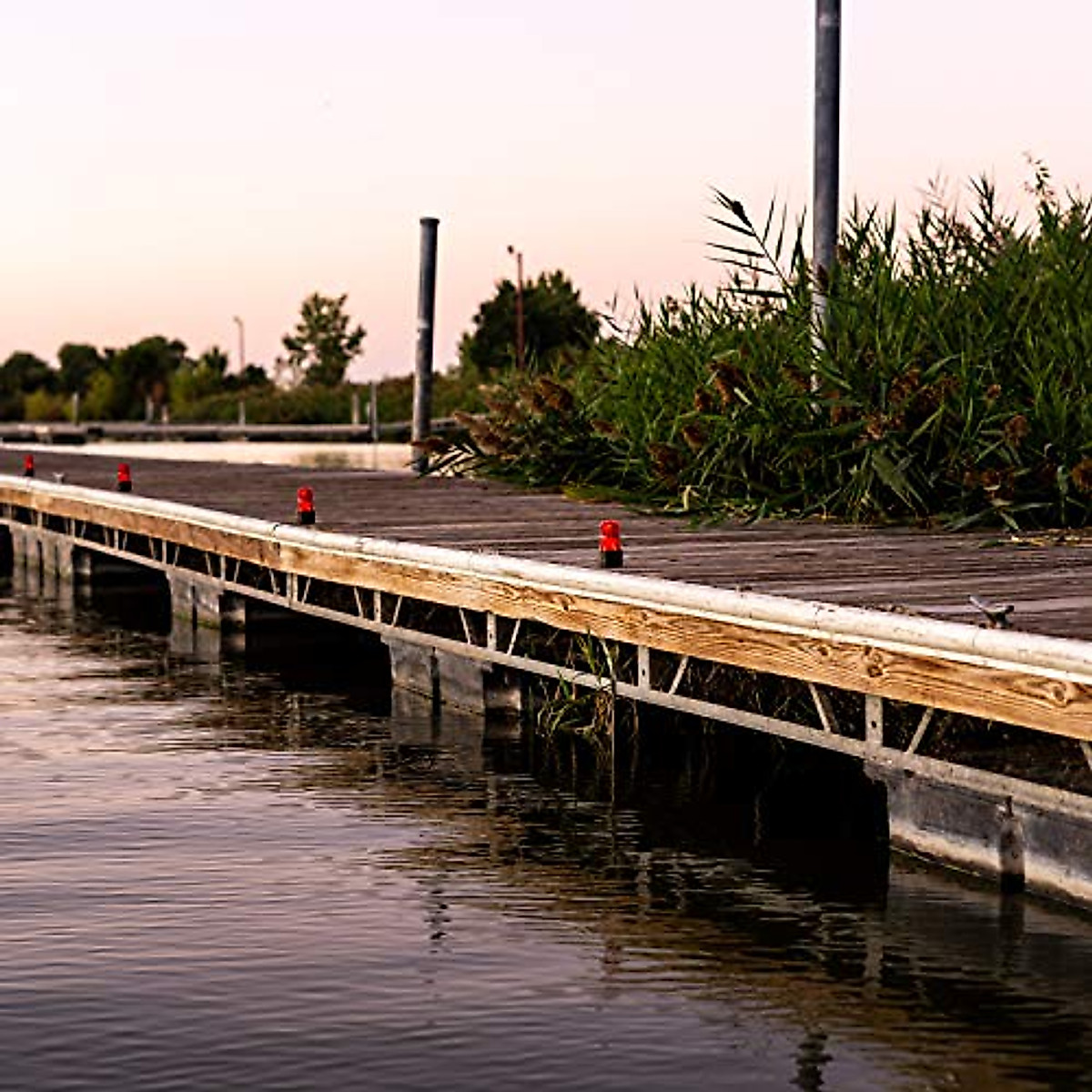 TOMAR 495S-120-R Microstrobe 1/2"-14 NPSL Male Thread Mount Base, 120VAC (Red, 1/2" Male Thread Mount (120 VAC))